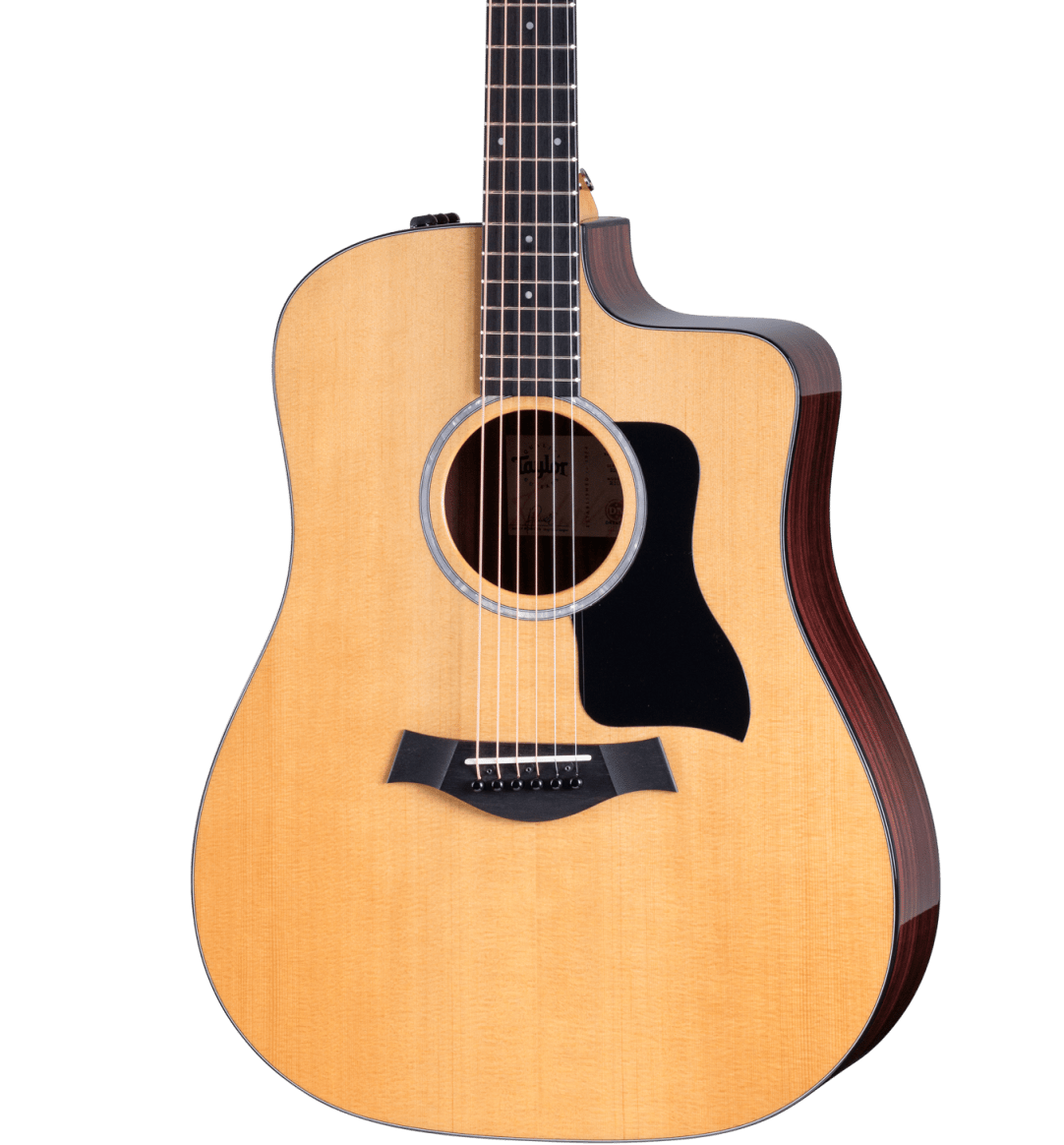 Taylor 210ce Plus Acoustic Electric Guitar – Woodsy's Music