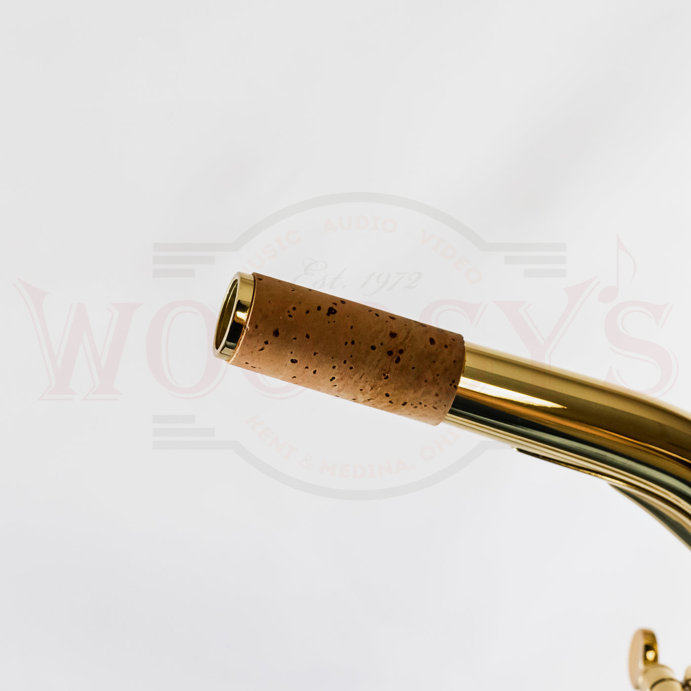 Yanagisawa BWO1 Professional Baritone Saxophone – Woodsy's Music